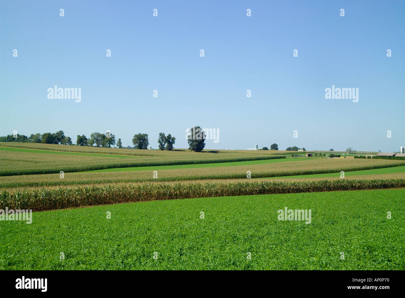 Cornharvesting hi-res stock photography and images - Alamy