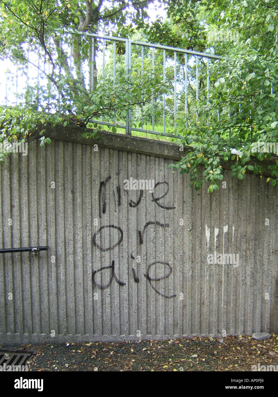 live or die sentence graffiti on wall Stock Photo - Alamy