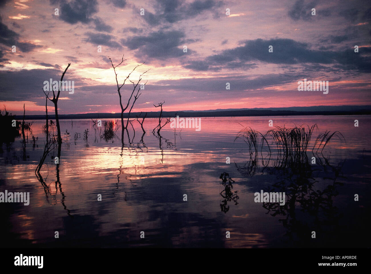 Binga hi-res stock photography and images - Alamy