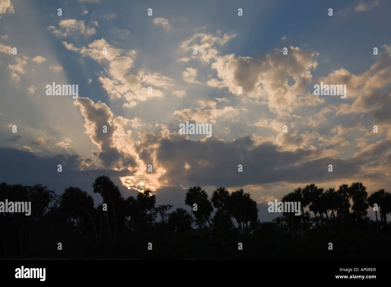 Late afternoon sky over the Gulf of Mexico off Cedar Key Florida Stock ...