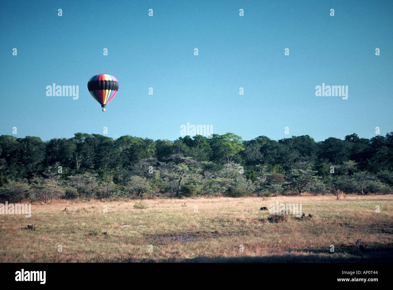 Balloon safaris hi-res stock photography and images - Alamy