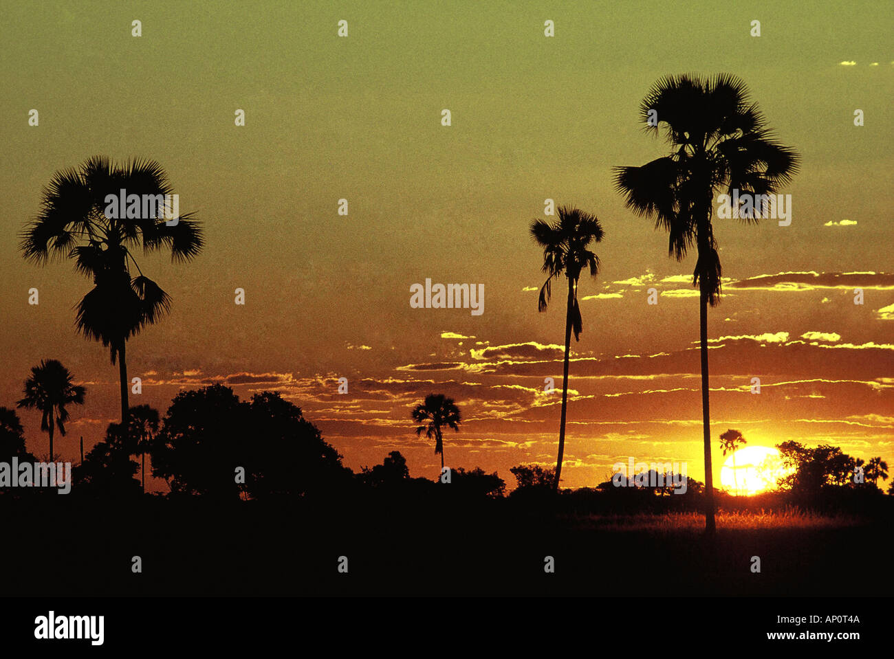 Shona powell hi-res stock photography and images - Alamy