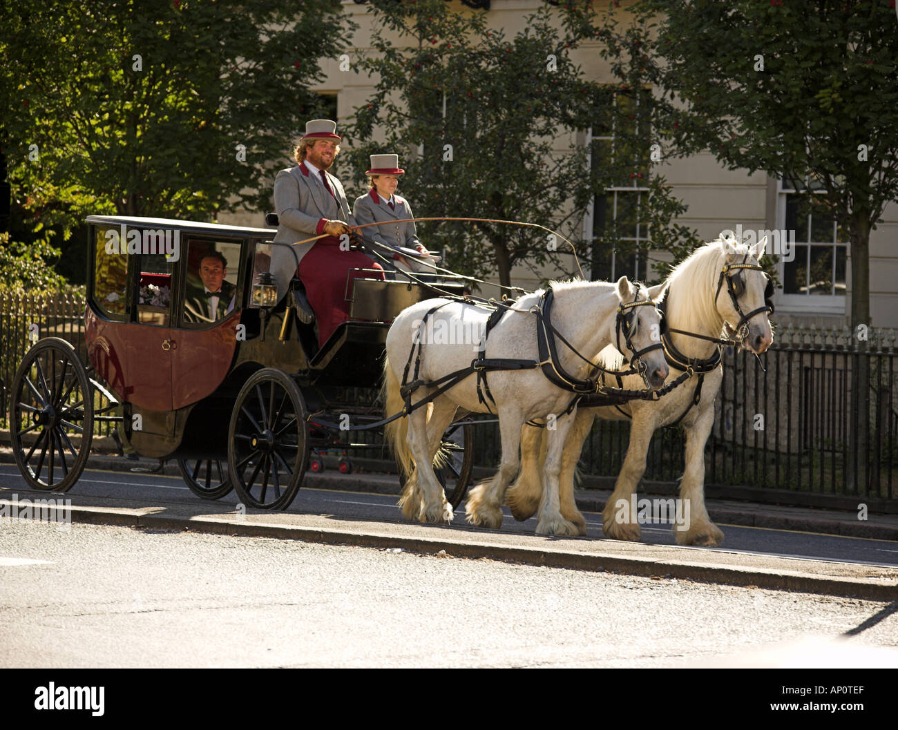 Carriage horse drawn transport whip hi-res stock photography and images ...