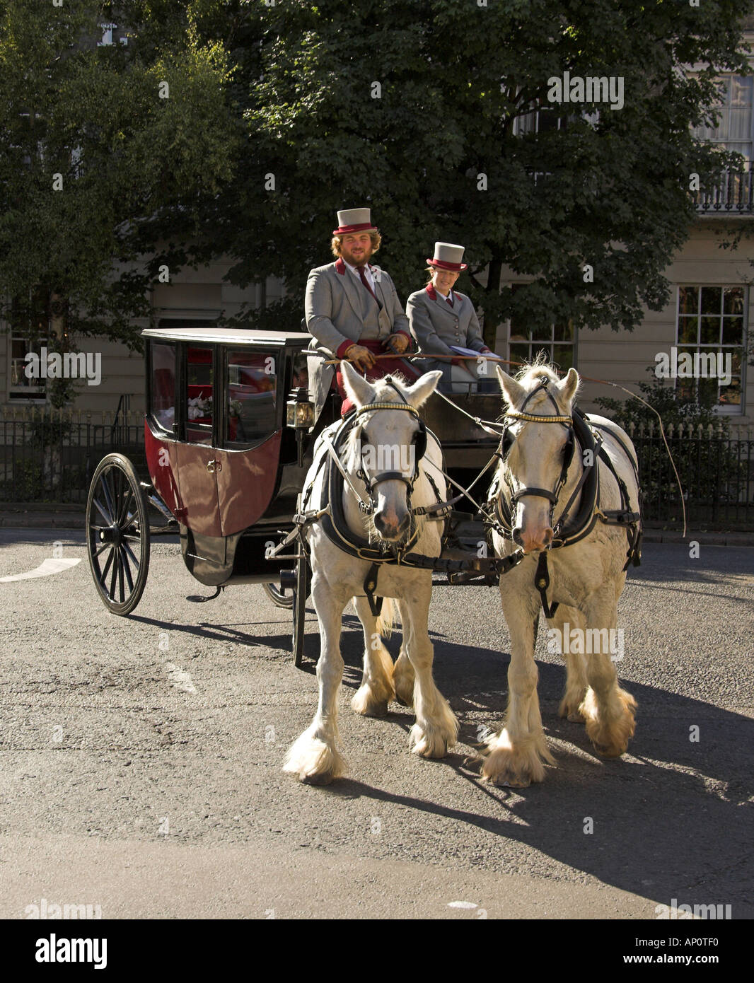 Carriage horse drawn transport whip hi-res stock photography and images ...