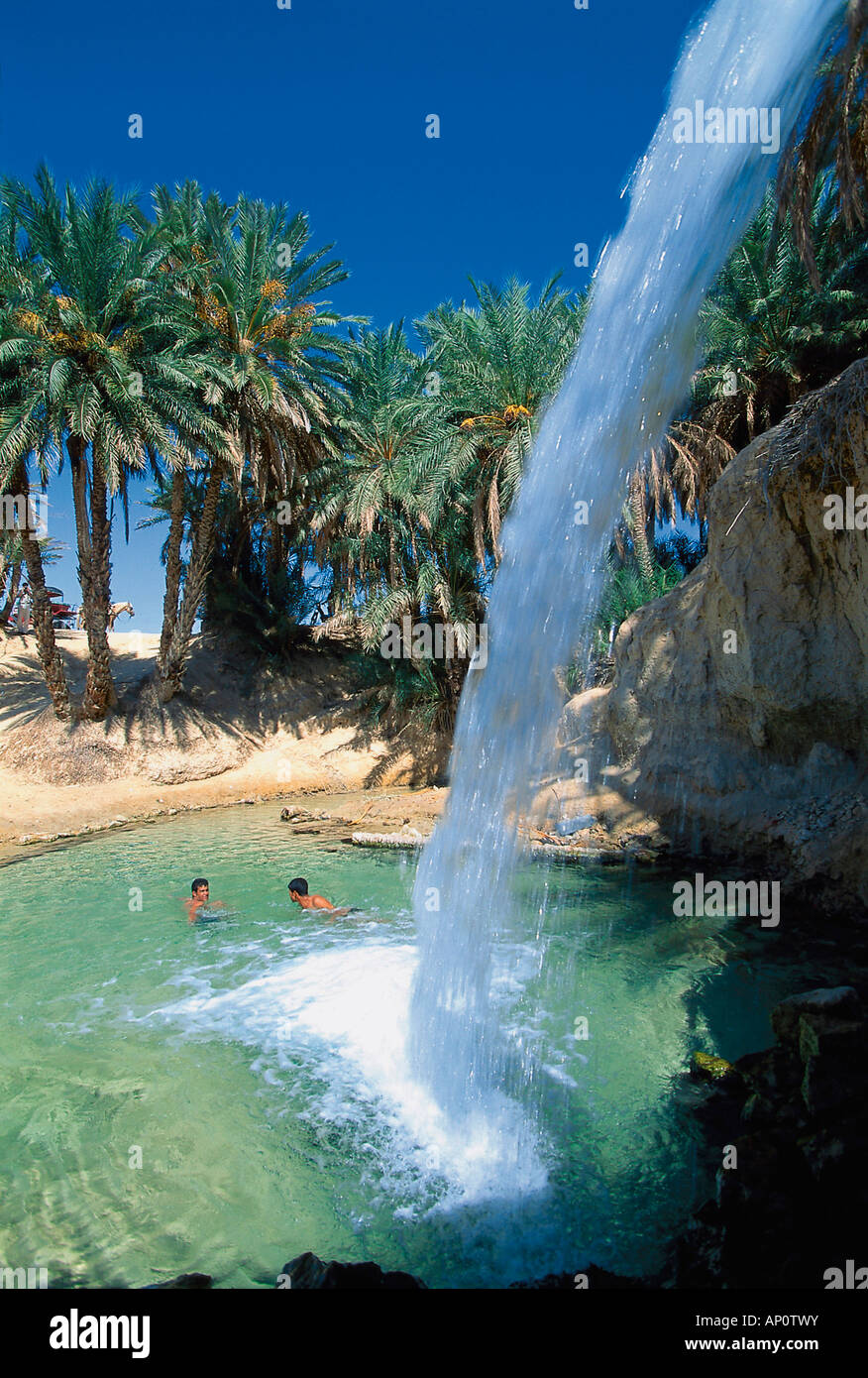 Spring with waterwall, Oasis, Tozeur, Tunis Stock Photo - Alamy