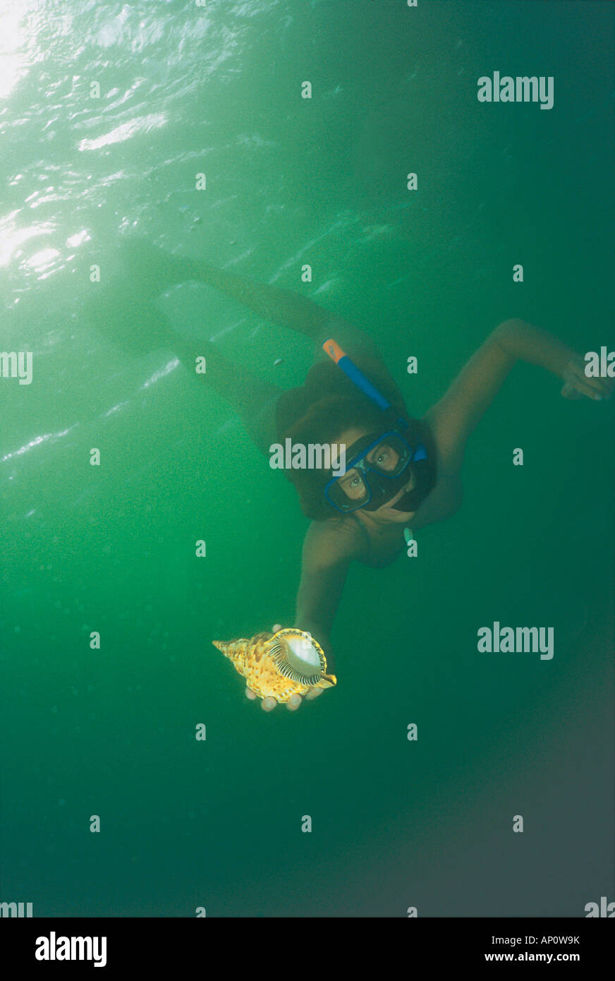 Diver with shell, Sal, Cape Verde Stock Photo - Alamy