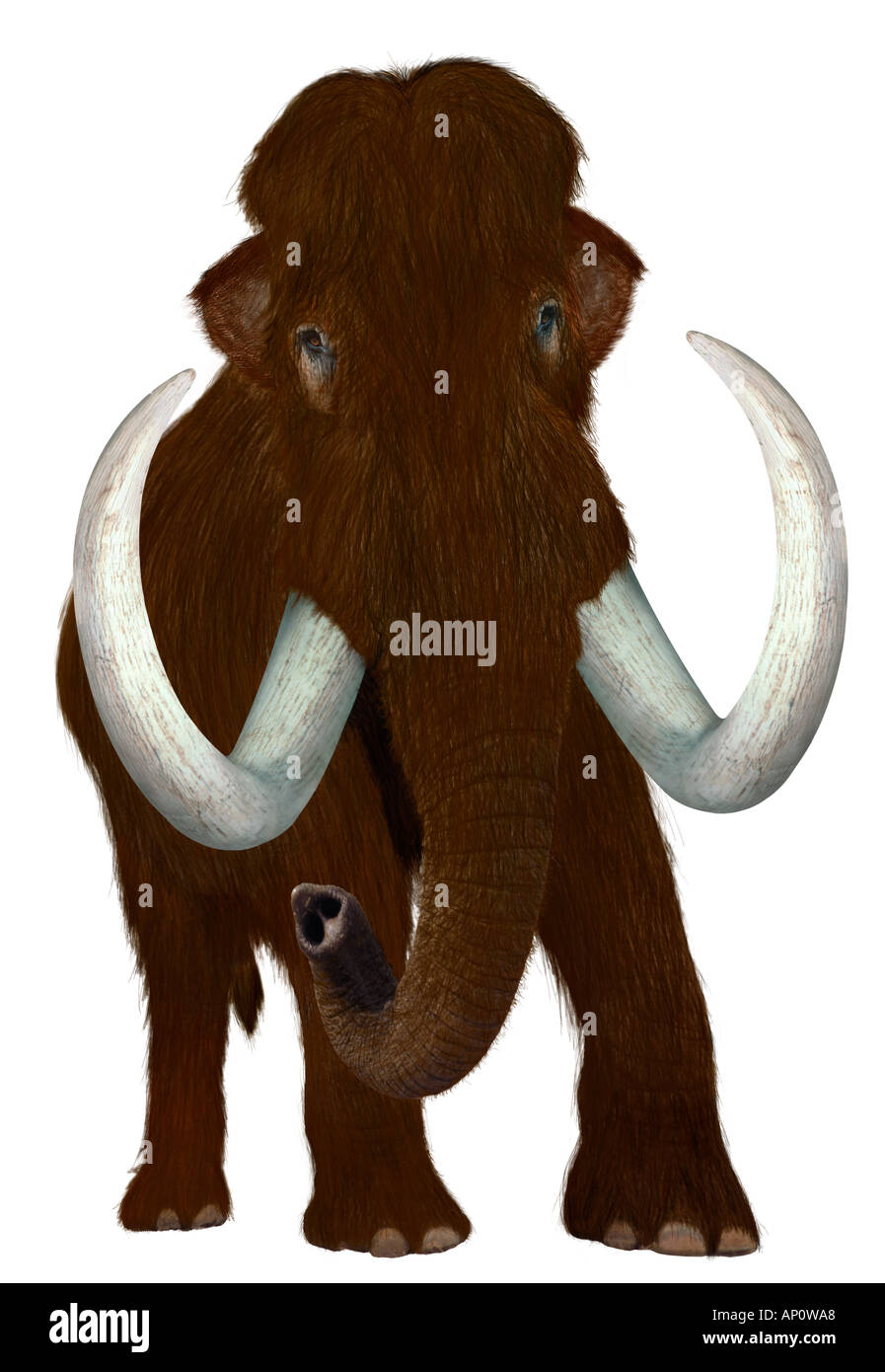 Wooly mammoth Cut Out Stock Images & Pictures - Alamy