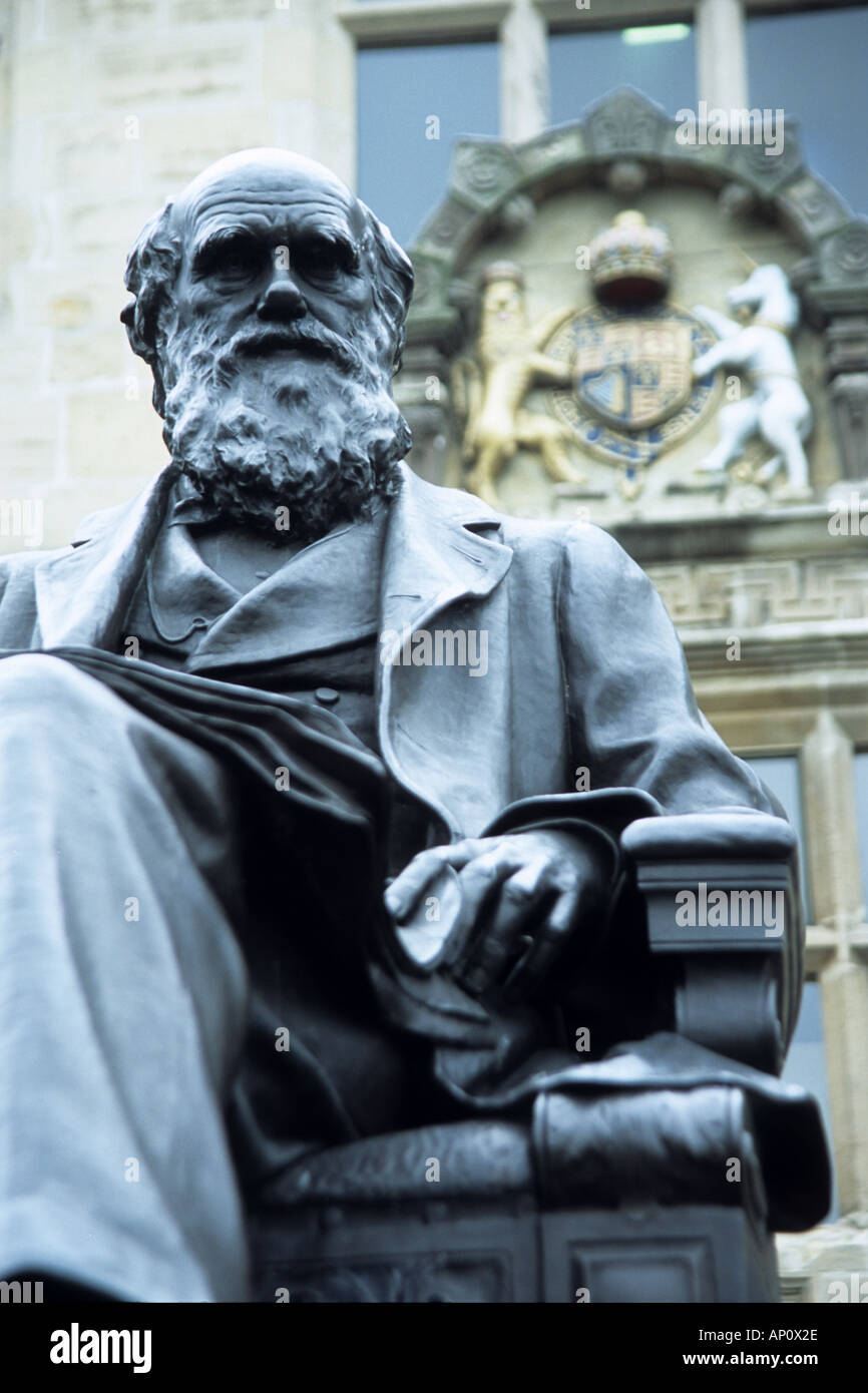 Charles Darwin statue, Shrewsbury Library,Shropshire, UK Stock Photo ...