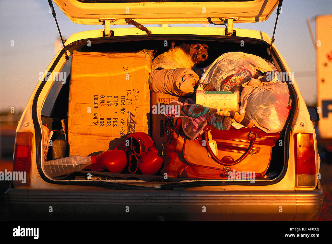 Sandys fred hi-res stock photography and images - Alamy