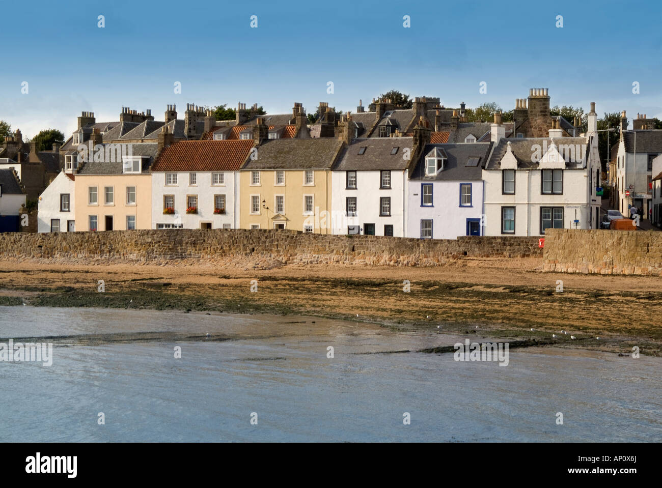 Anstruther beach seaweed hi-res stock photography and images - Alamy