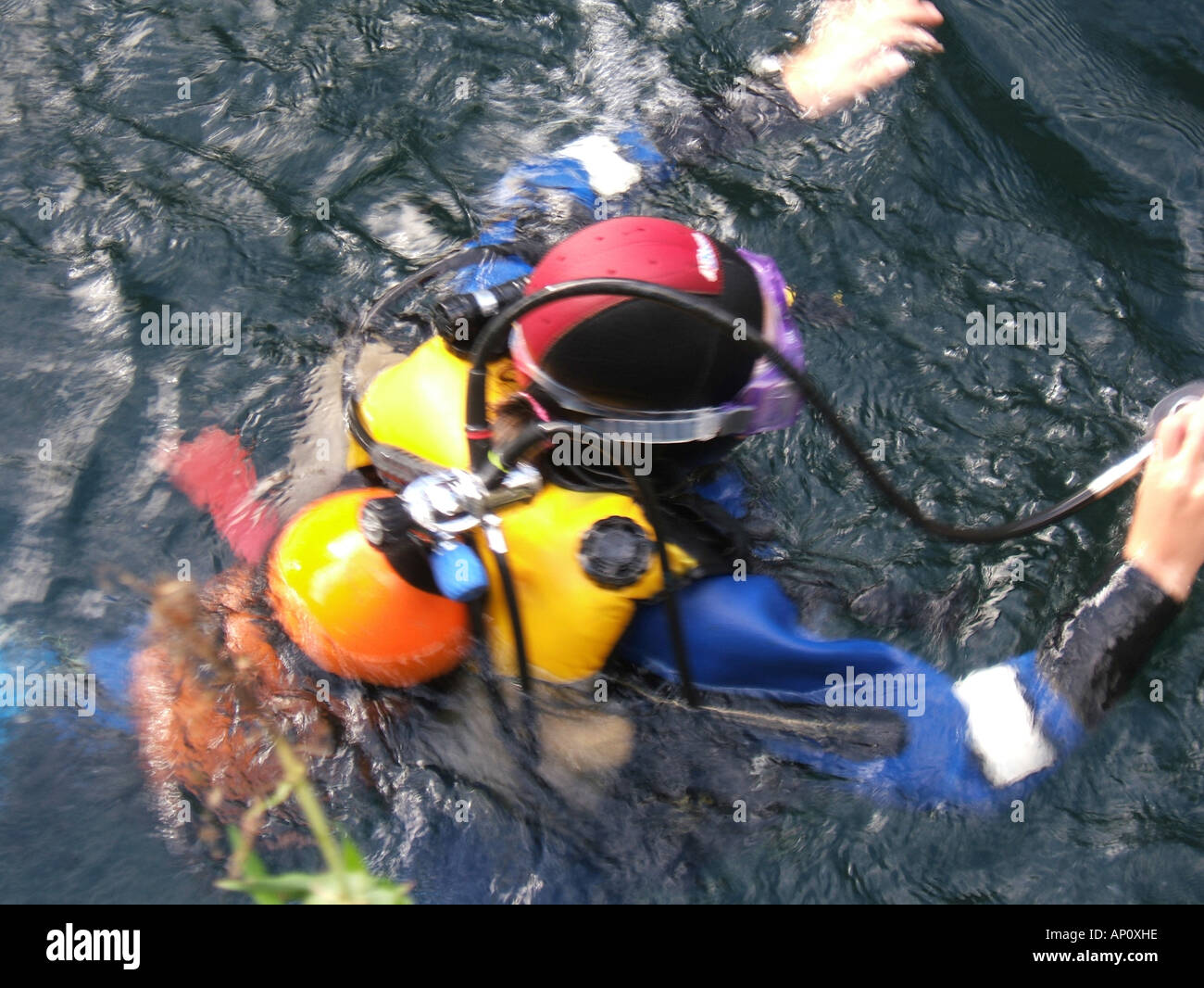 one diver in lake Stock Photo - Alamy