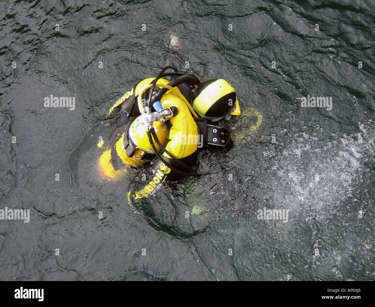 one diver in lake Stock Photo - Alamy