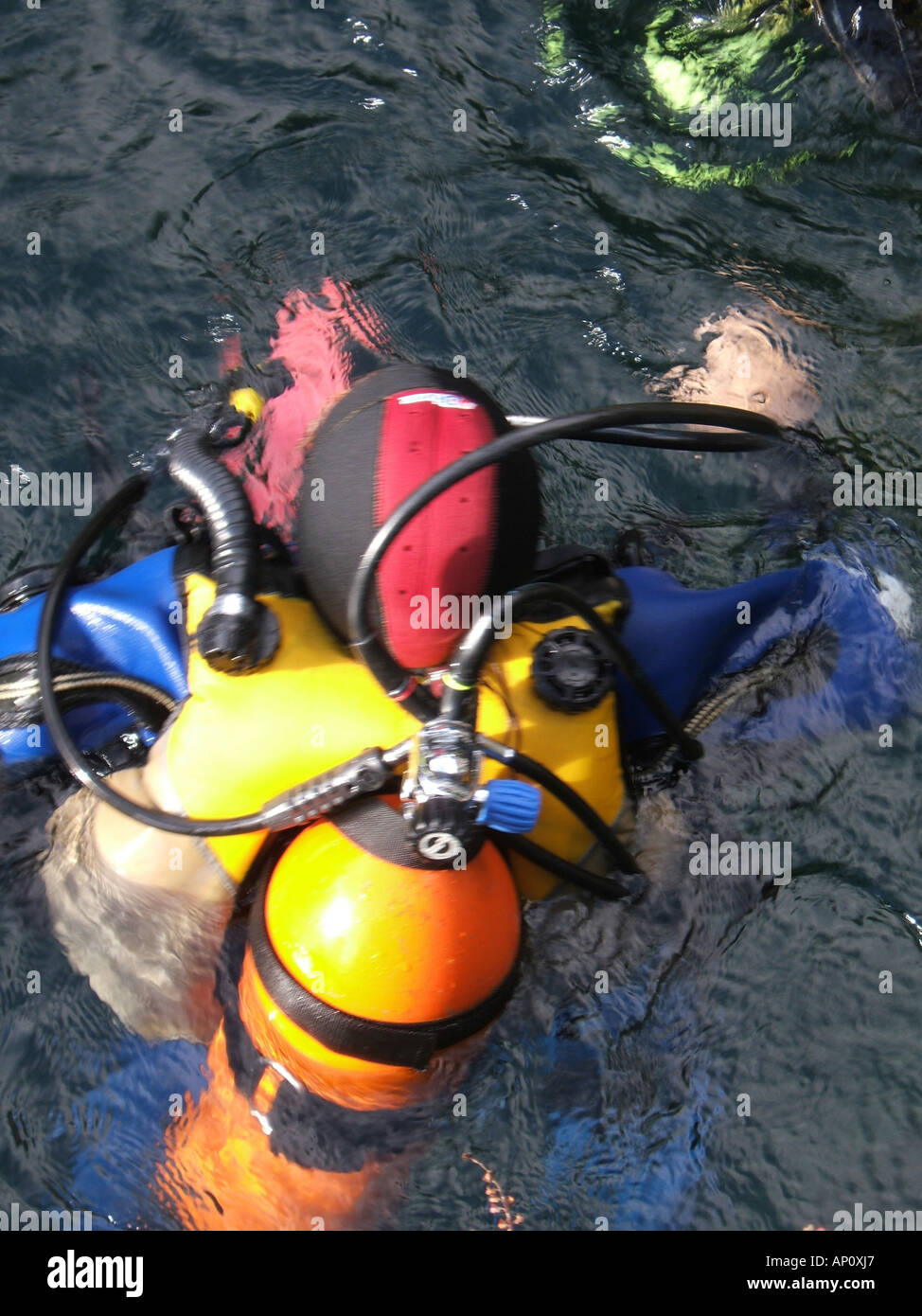 one diver in lake Stock Photo - Alamy