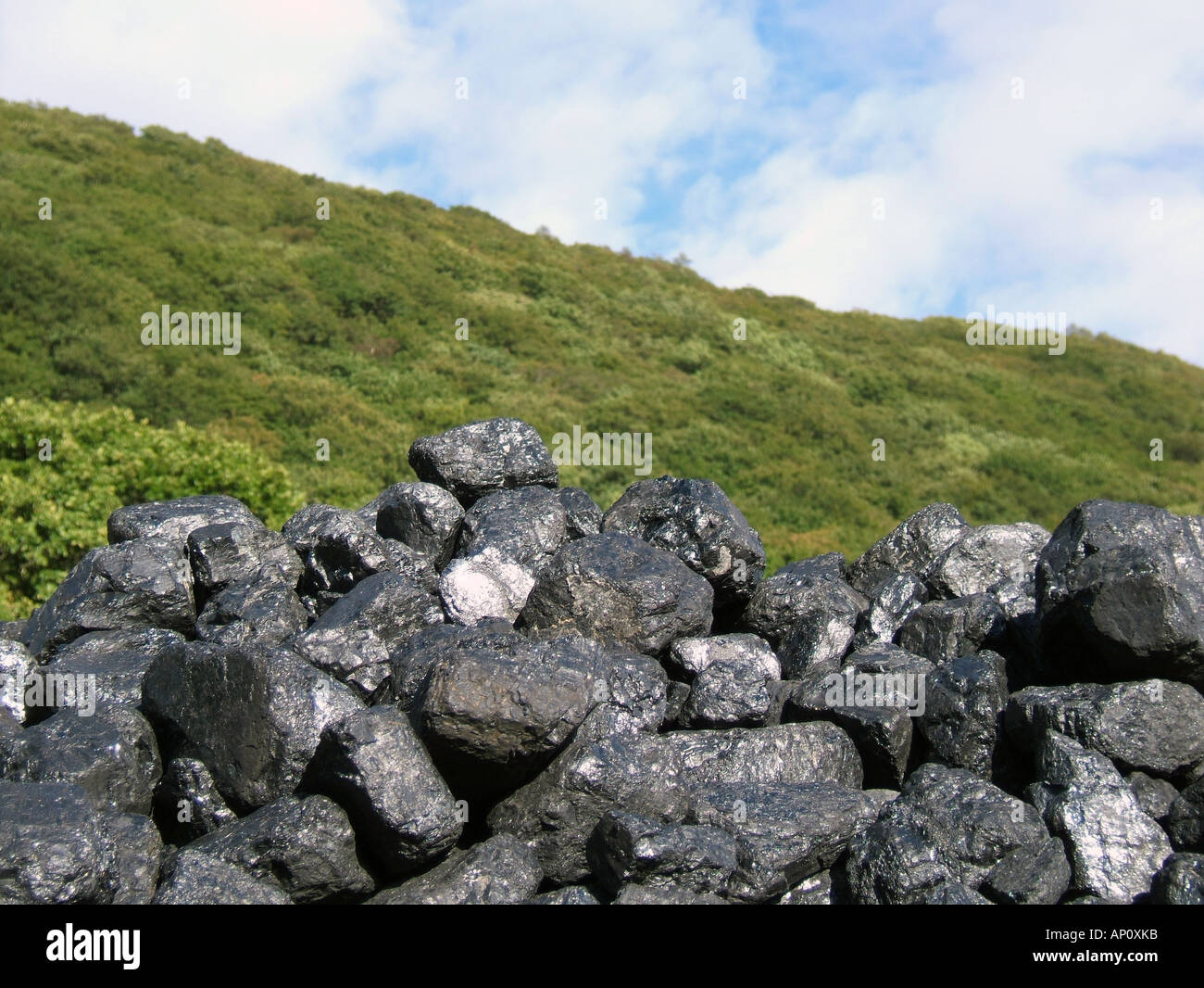 detail of coal pile and trees background and countryside Stock Photo ...
