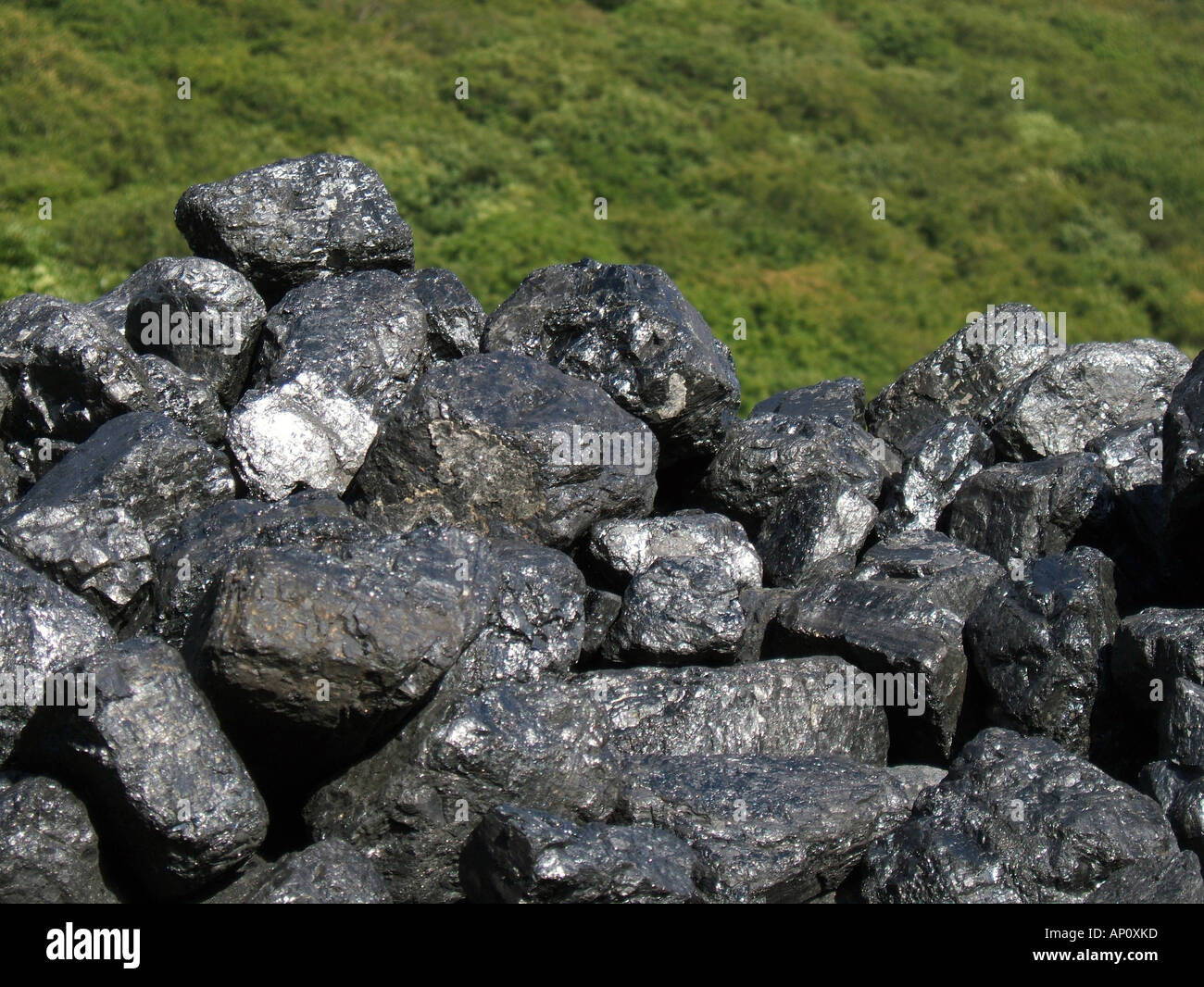 detail of coal pile and trees background and countryside Stock Photo ...
