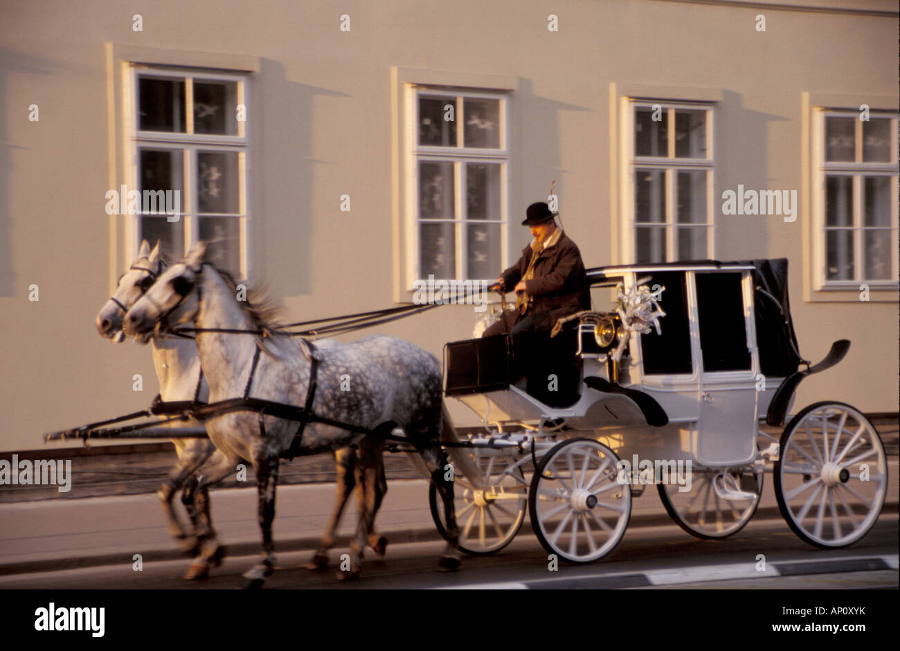 Fiaker vienna wedding hi-res stock photography and images - Alamy