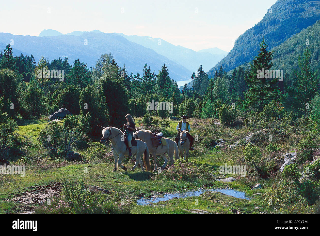 Two people horse riding nordfjord hi-res stock photography and images ...