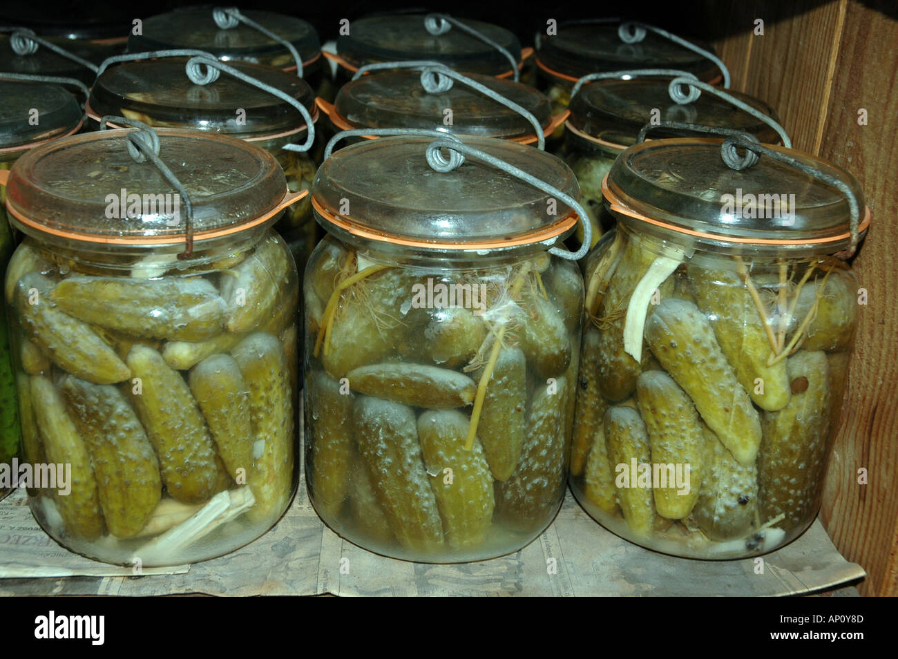 potted cucumbers in Poland Stock Photo - Alamy