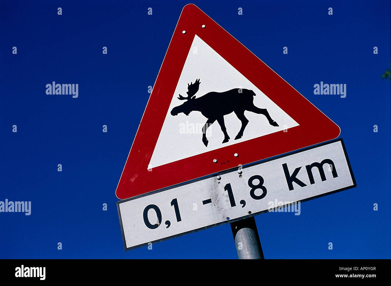 Elk Traffic Sign, Western Middle Norway Stock Photo - Alamy