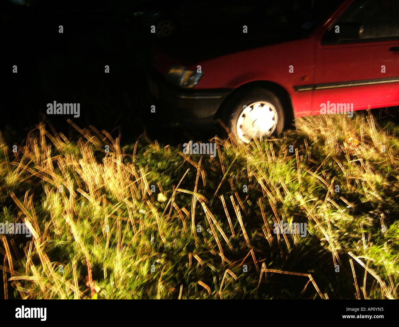 red car in field at night Stock Photo - Alamy