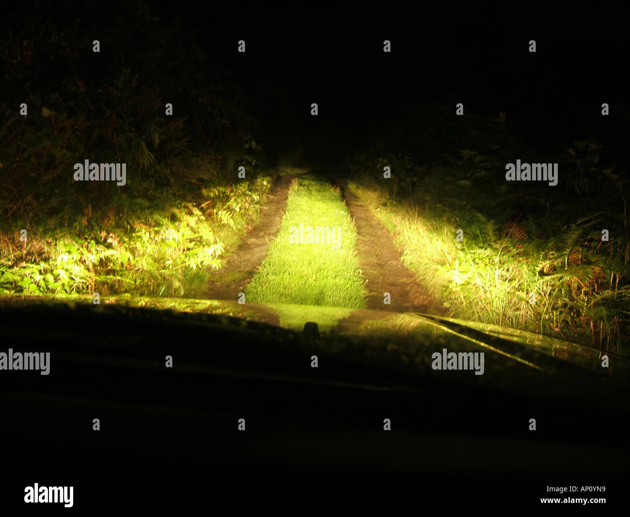 Street lighting on country lane hi-res stock photography and images - Alamy