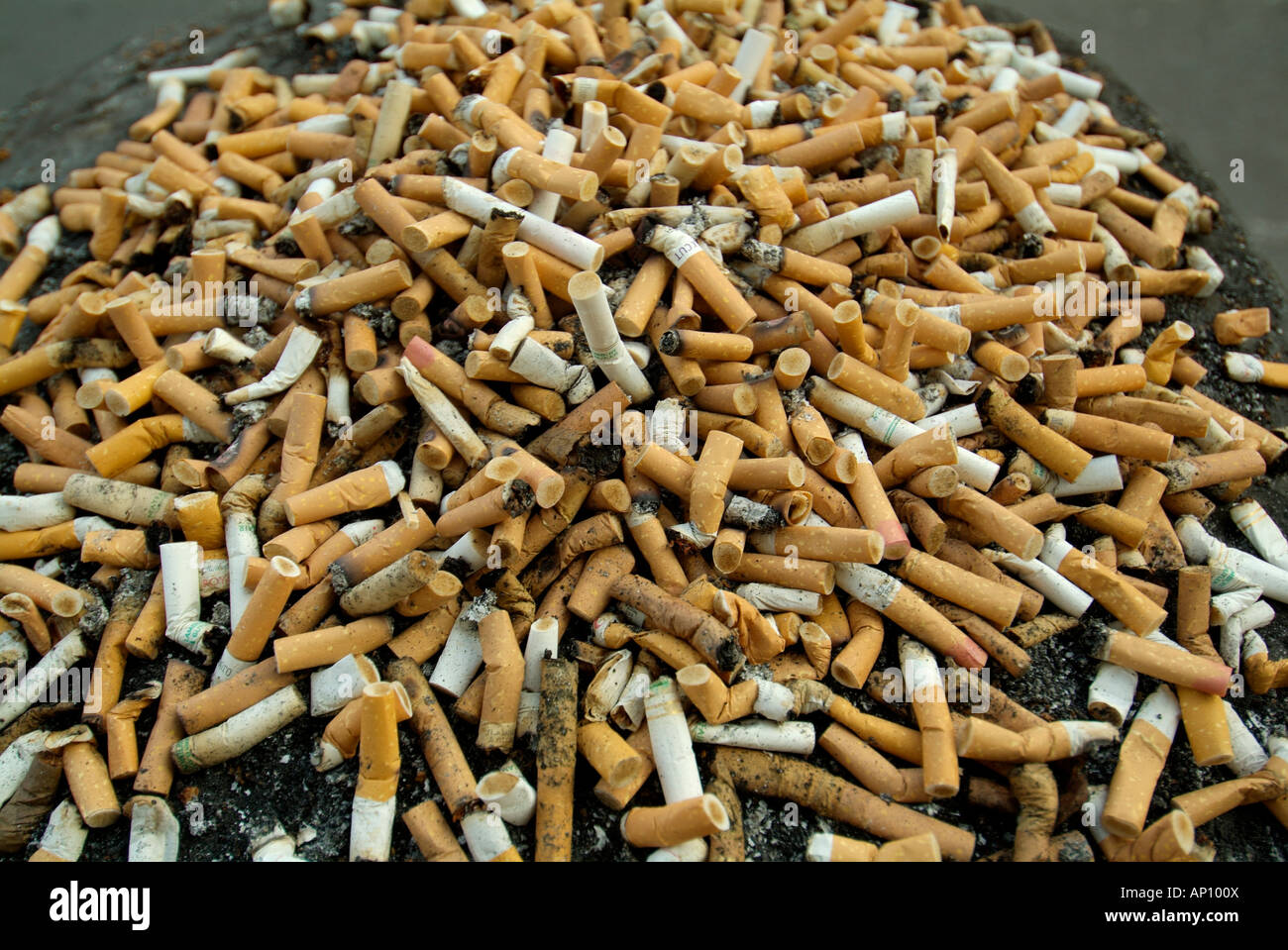 cigarette ends dimp butt pollution rubbish health hazard environment ...