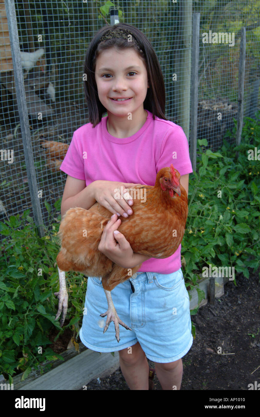 Girl with pet red hen Stock Photo - Alamy