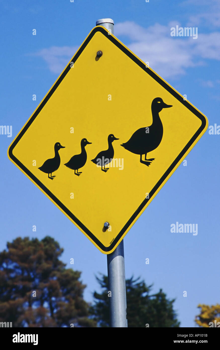 Ducks crossing road sign Stock Photo - Alamy