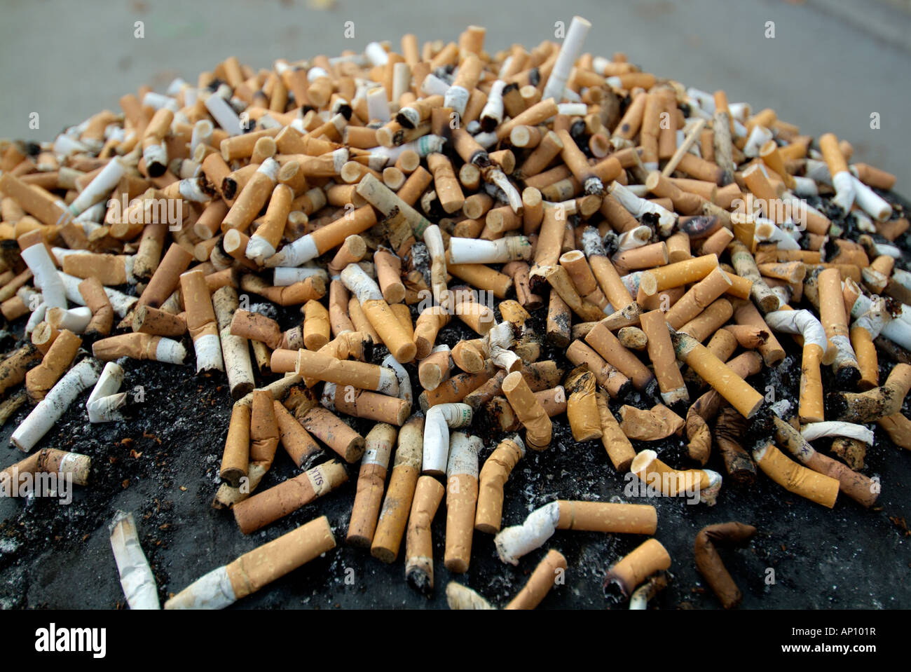 cigarette ends dimp butt pollution rubbish health hazard environment ...