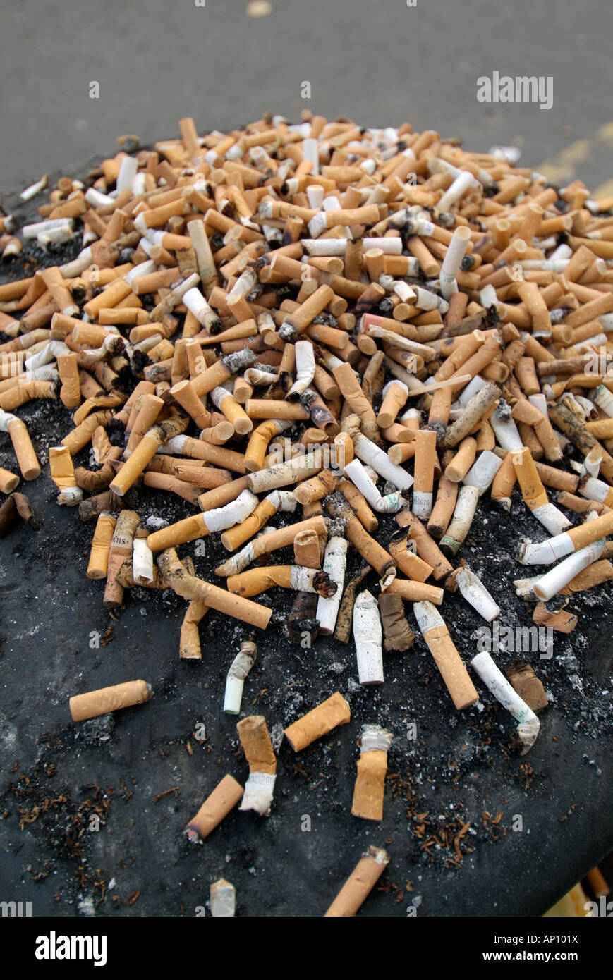 cigarette ends dimp butt pollution rubbish health hazard environment ...