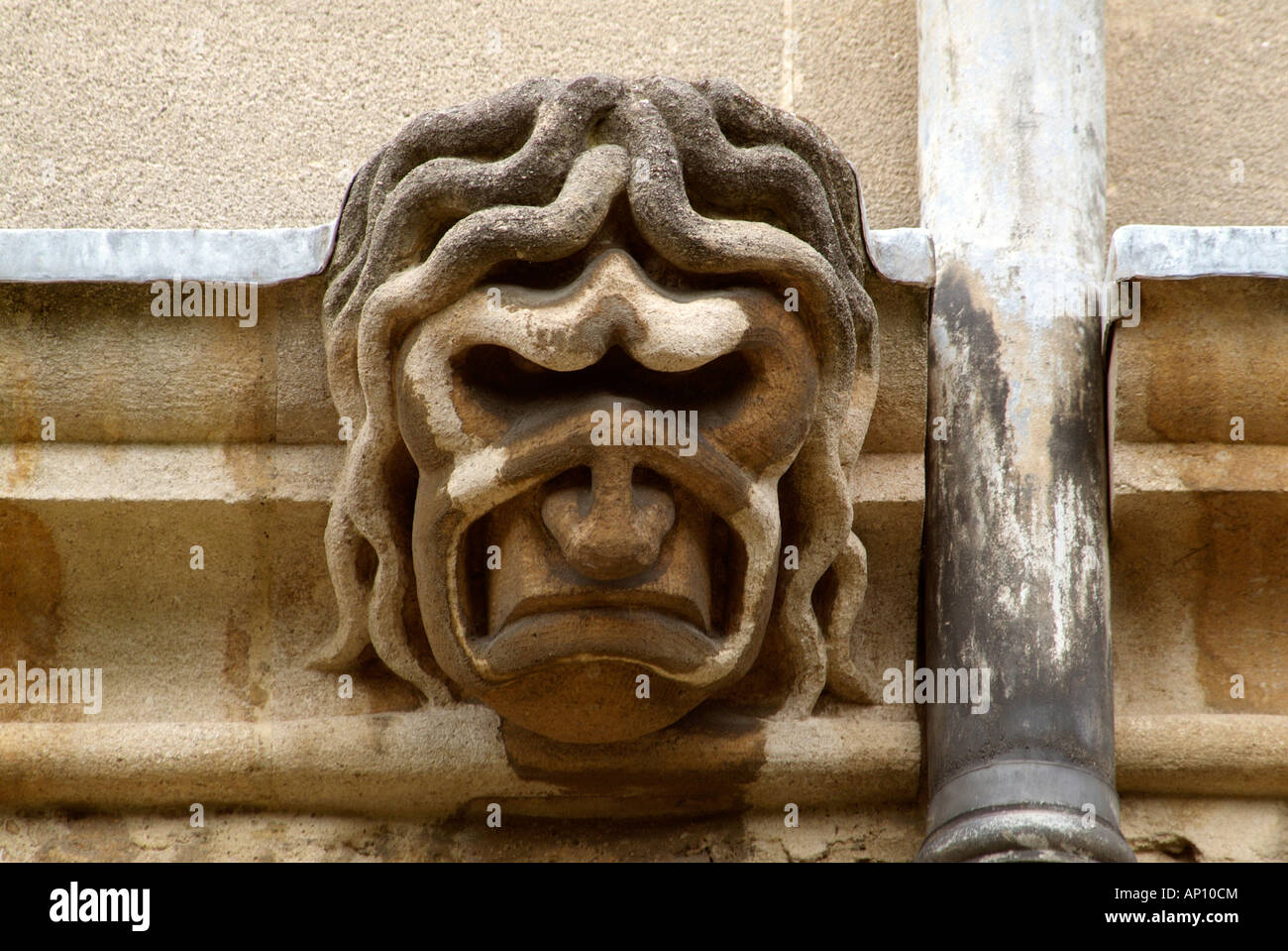Head gargoyle close up Oxford university town stone carving distorted ...