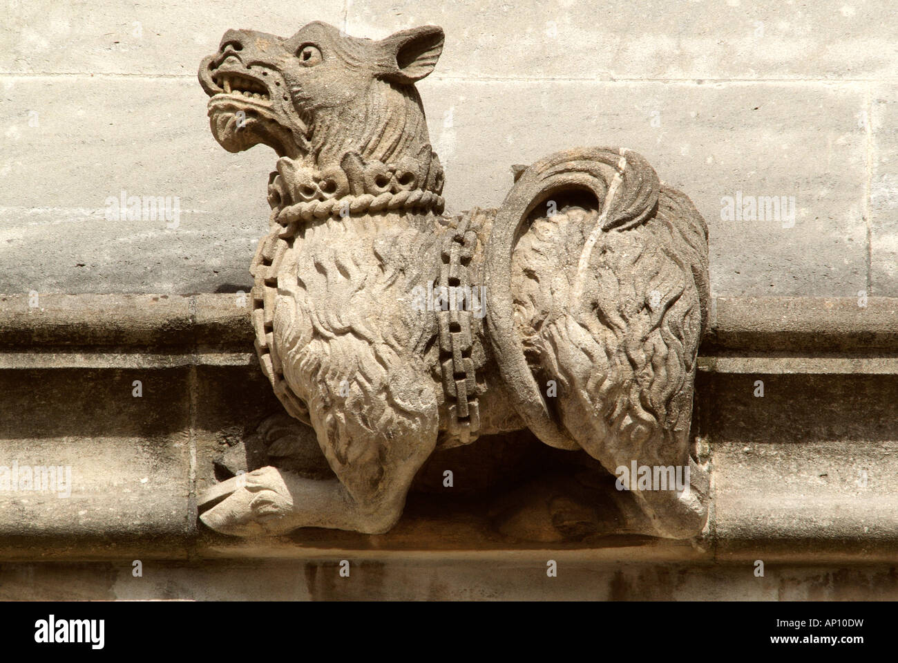griffon gargoyle close up Oxford university town stone carving ...