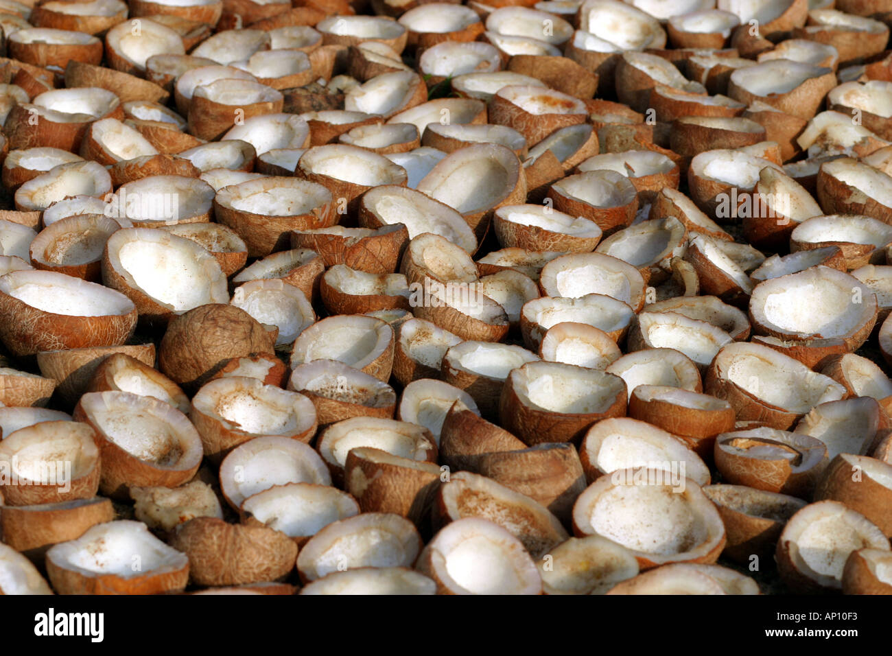 Copra Kerala South India Stock Photo - Alamy