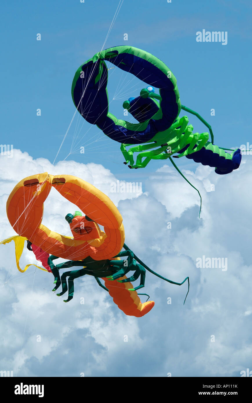 Cellular kite hi-res stock photography and images - Alamy