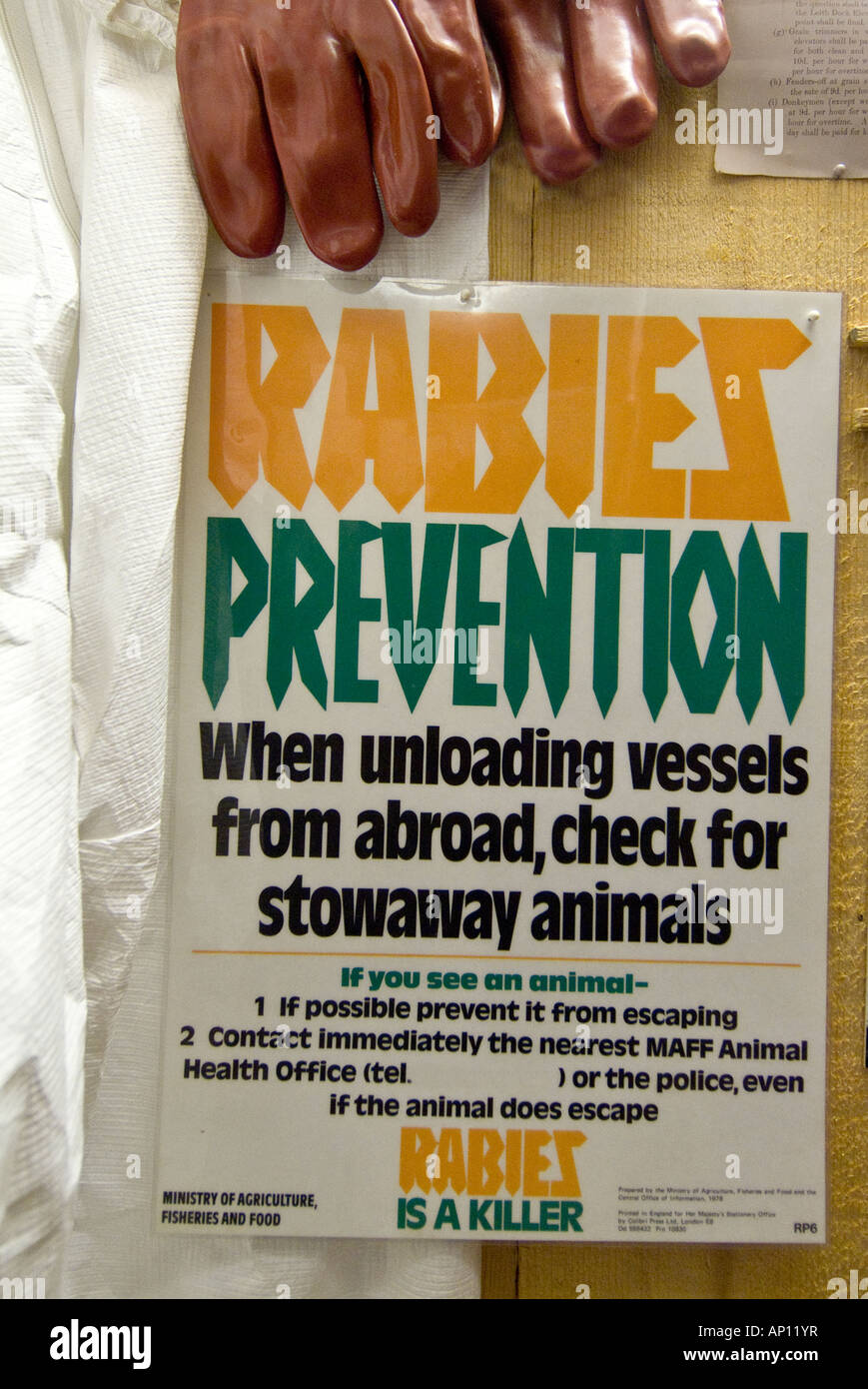 rabies is a killer prevention poster public information maff quarantine ...