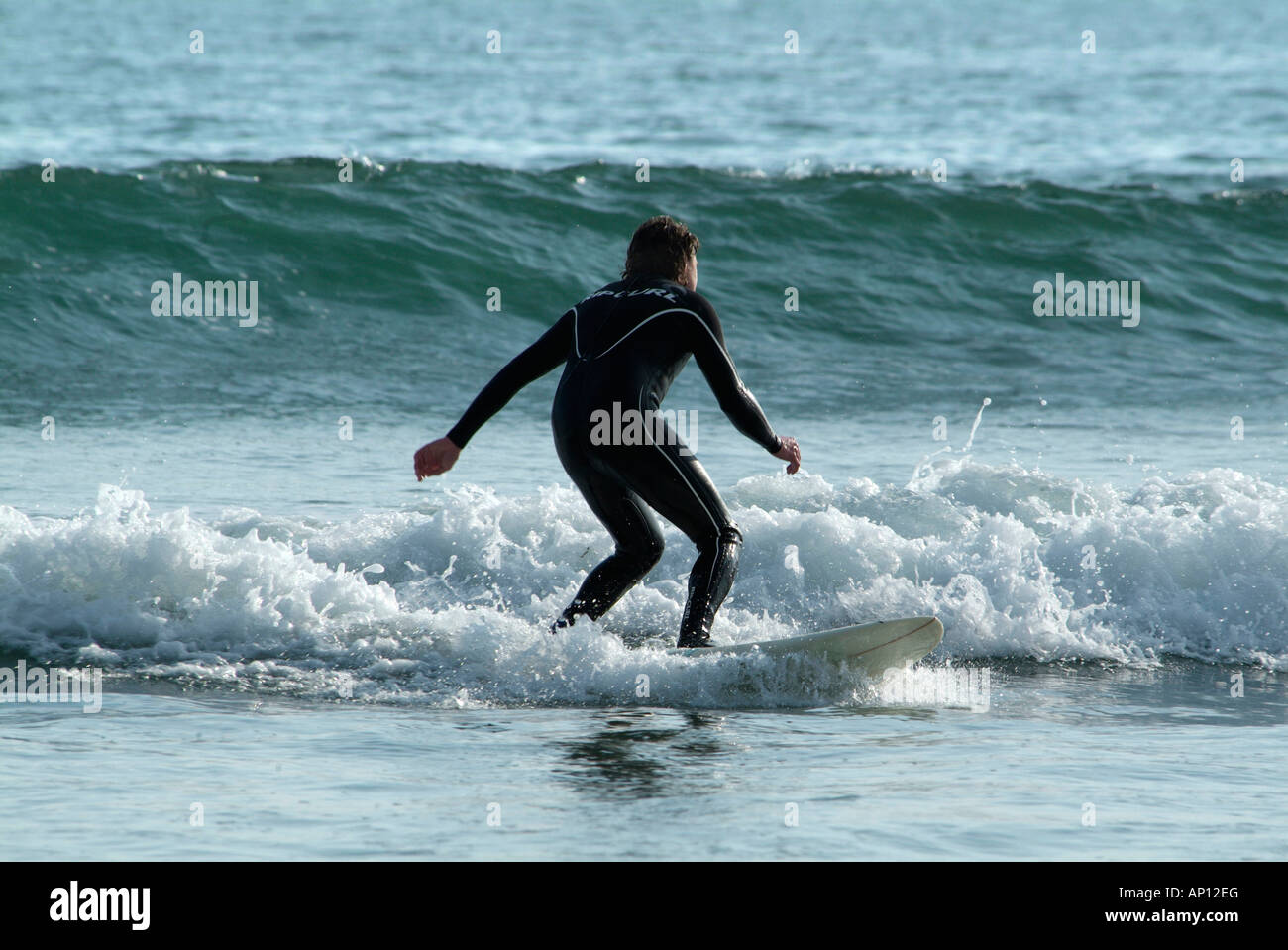 surfer surf body board stand standing back view rear wetsuit out swim ...