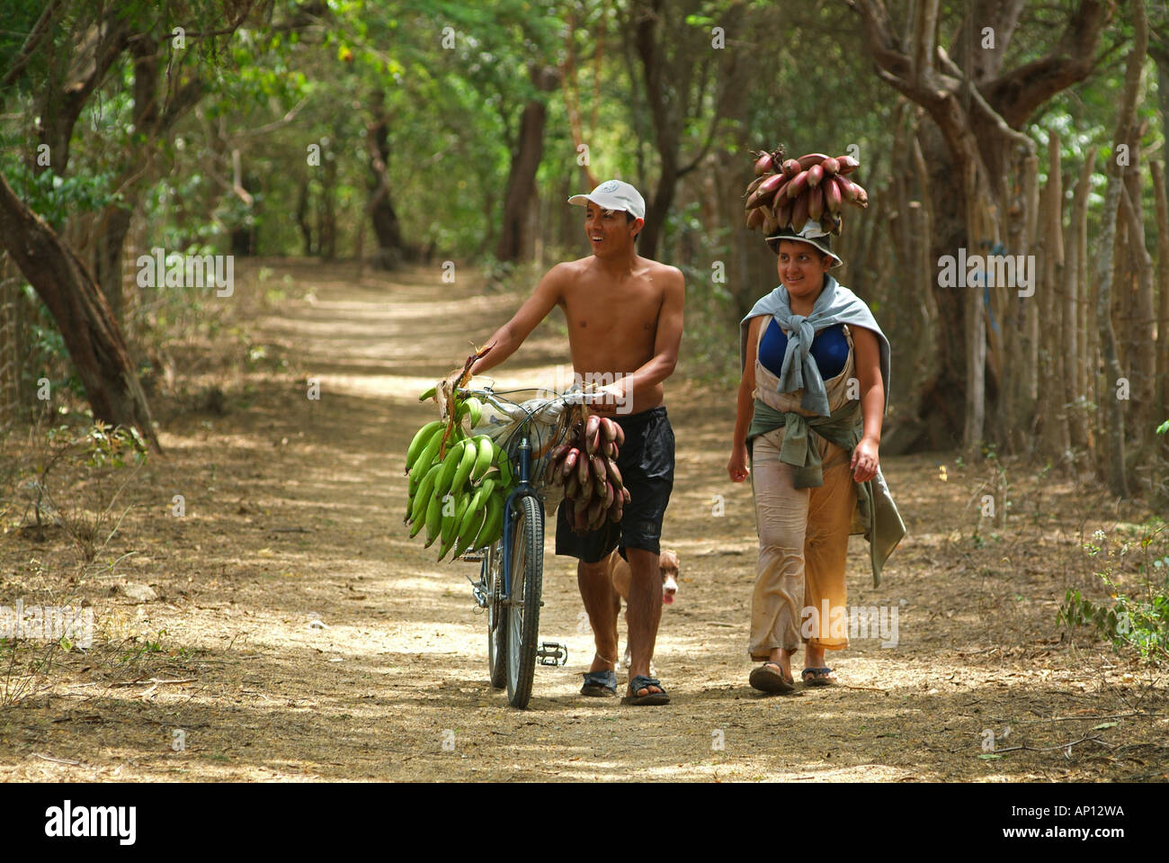 Banana pickers, Equador Stock Photo - Alamy