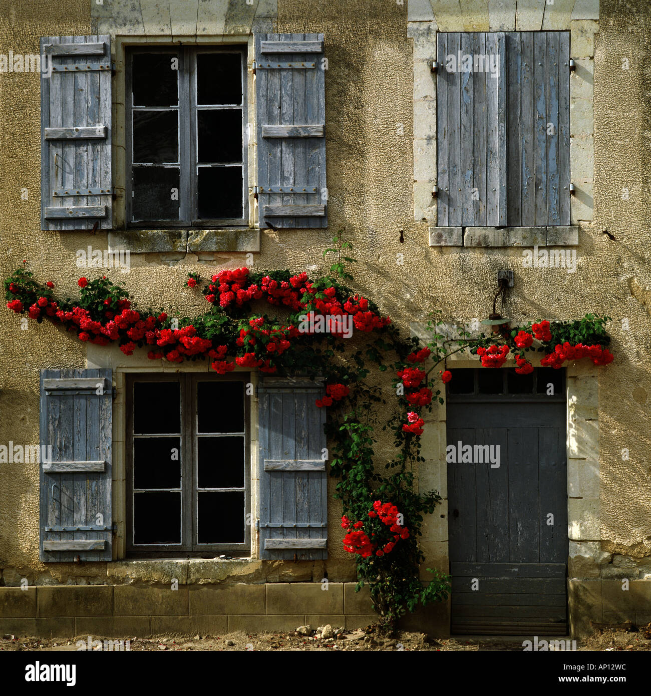 Roses around windows hi-res stock photography and images - Alamy