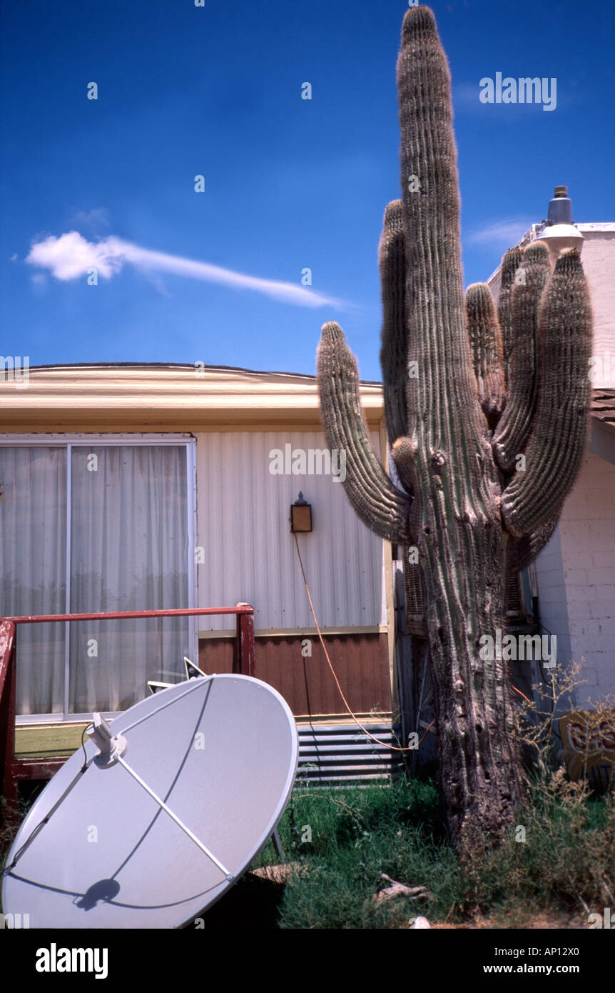 Cactus tv hi-res stock photography and images - Alamy