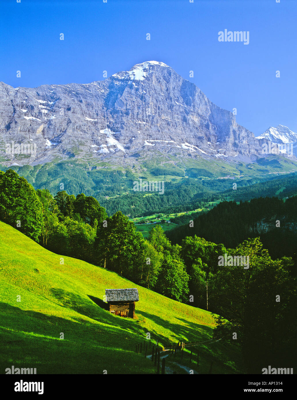 The Eiger view from Grindelwald Switzerland Stock Photo - Alamy