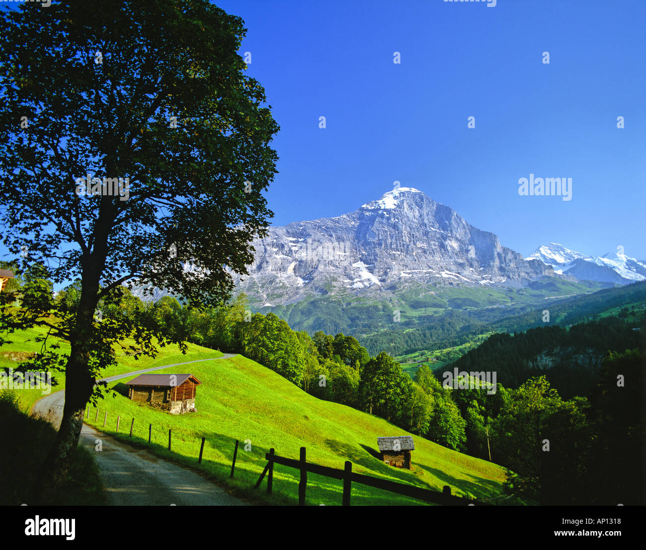 The Eiger view from Grindelwald Switzerland Stock Photo - Alamy