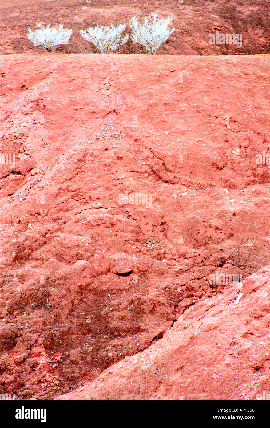 Red rocks of the Lake Mead National Recreation Area Nevada USA Stock ...