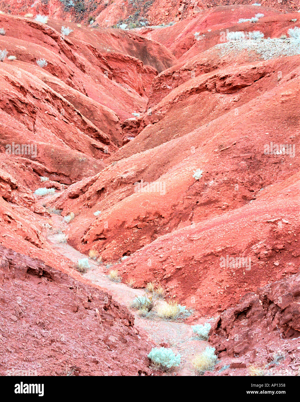 Red rocks of the Lake Mead National Recreation Area Nevada USA Stock ...