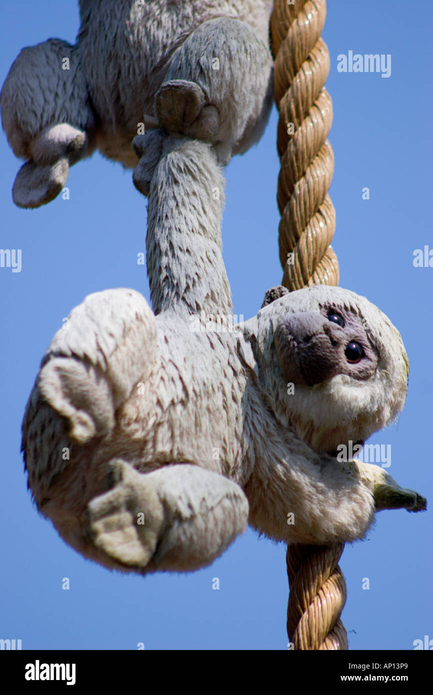 Stuffed apes play on a rope Stock Photo - Alamy