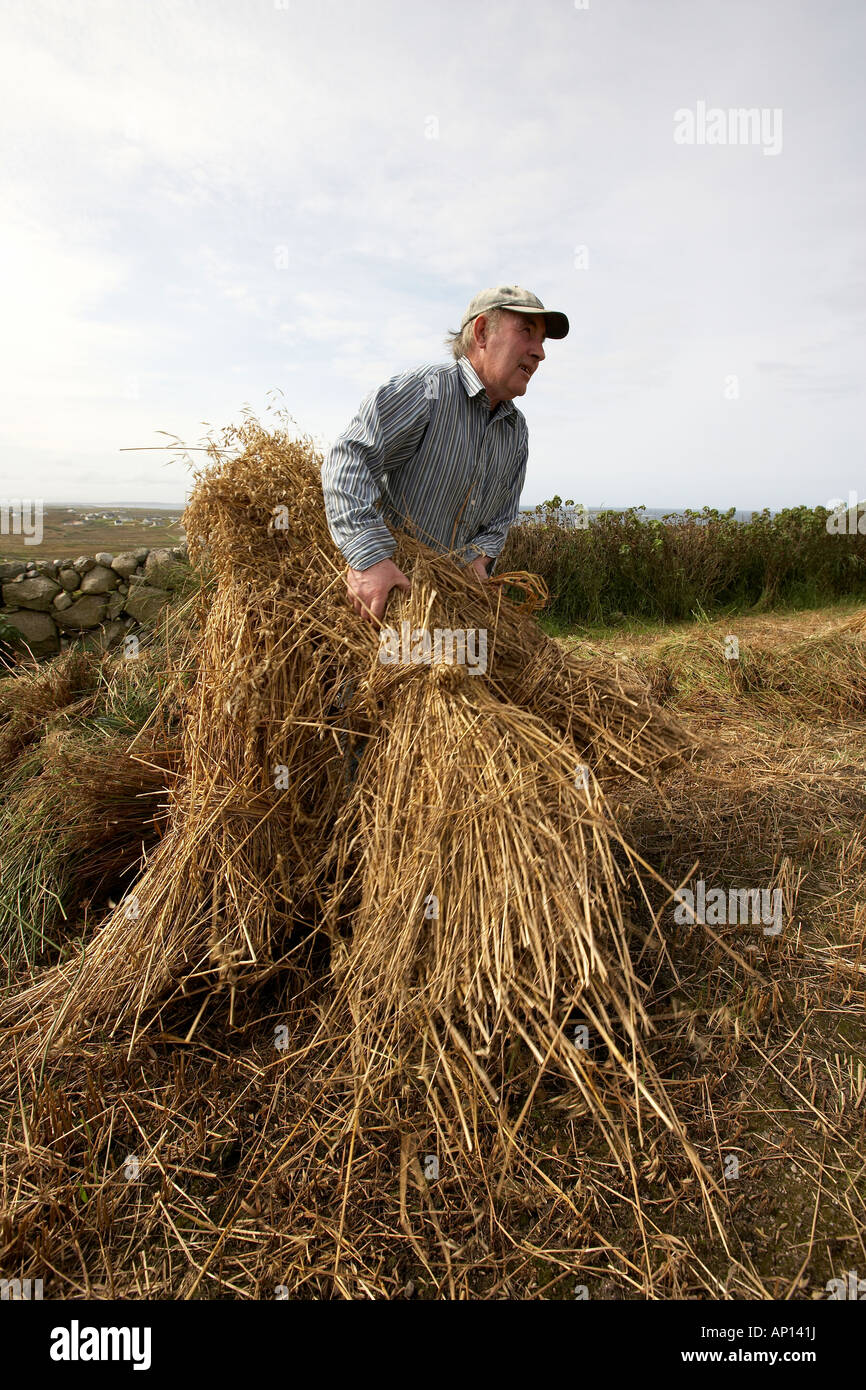 Hay stooks hi-res stock photography and images - Alamy