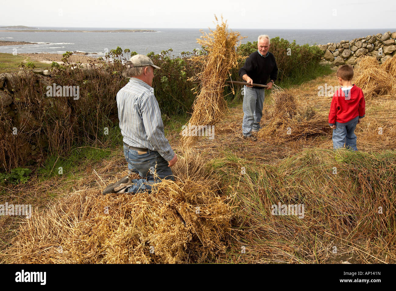 Hay making hi-res stock photography and images - Alamy