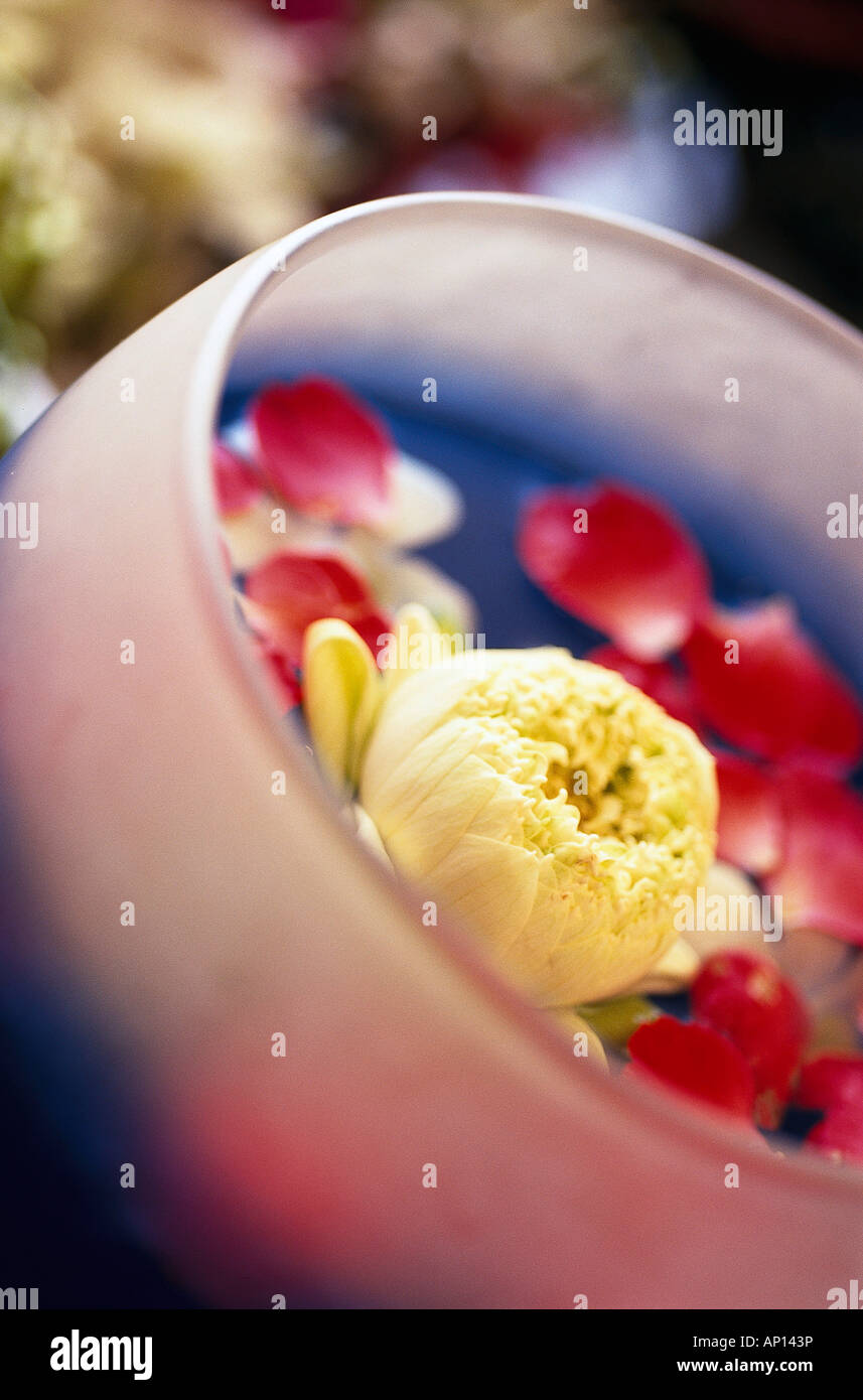 Flower blossoms, Hotel Banyan Tree Spa, Bangkok, Thailand Stock Photo ... Flower blossoms, Hotel Banyan Tree Spa, Bangkok, Thailand Stock Photo ...