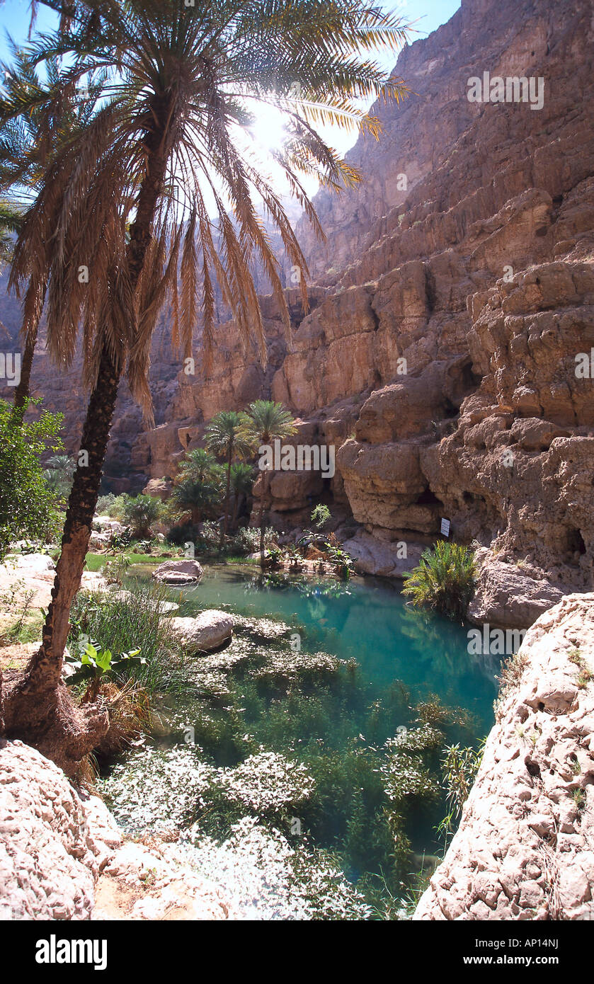 Sunlit bay at Gulf of Oman, Wadi Shab, Oman Stock Photo - Alamy