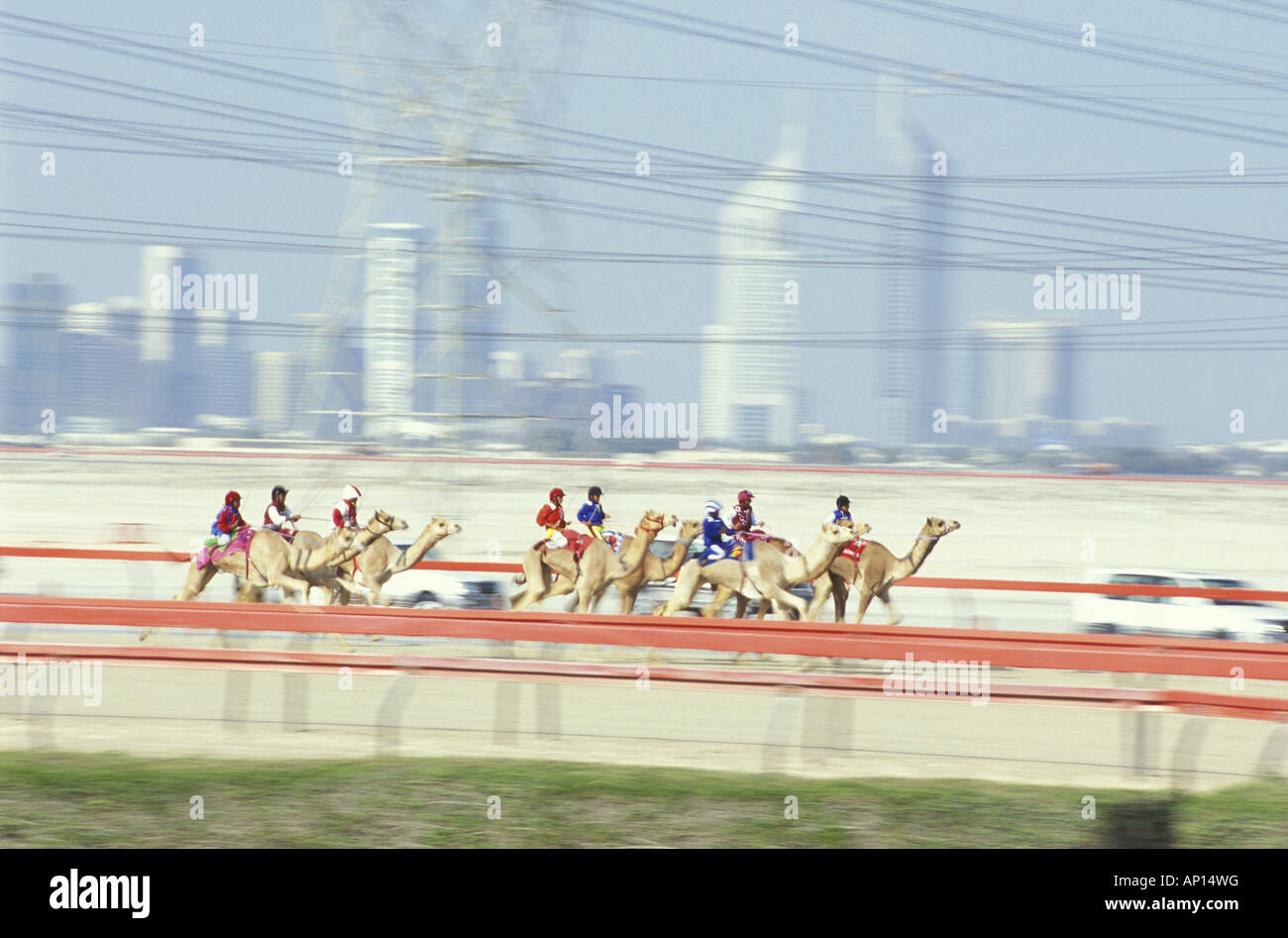 Camel Race, Dubai, United Arabic Emirates Stock Photo - Alamy