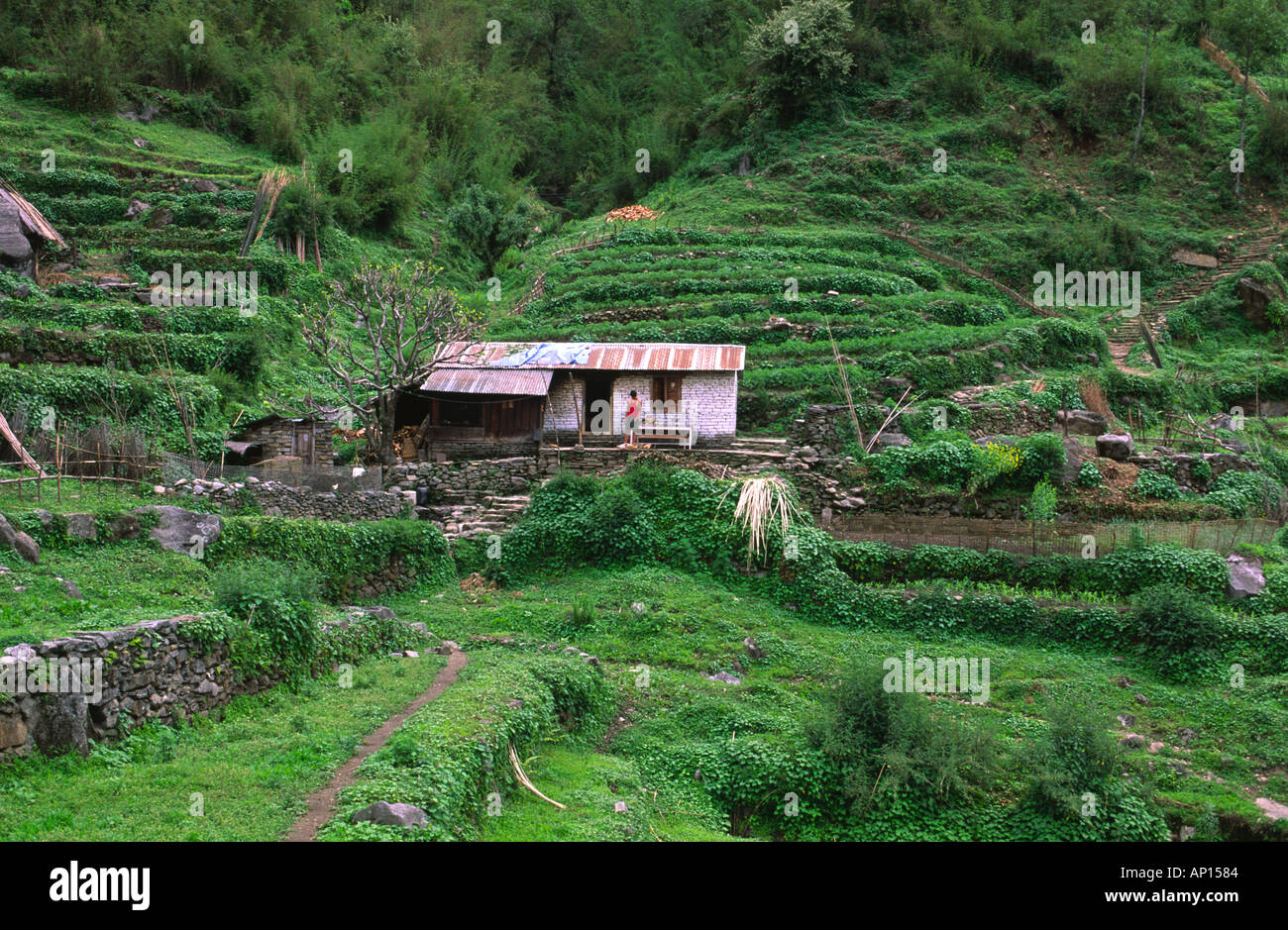 Chomrong village hi-res stock photography and images - Alamy
